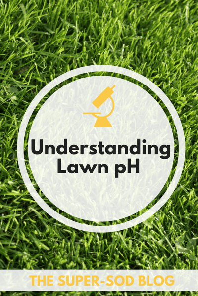 Understanding Lawn pH | Lawn Care & Fertilizing